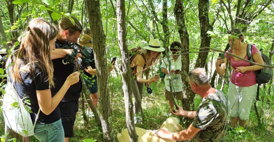 Gaon - Istria: Truffle Hunting & Cooking & Tasting - Why This Experience Is Worth It