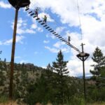 Gardiner: Guided Zipline EcoTour (3 hours) - Practicalities & Tips