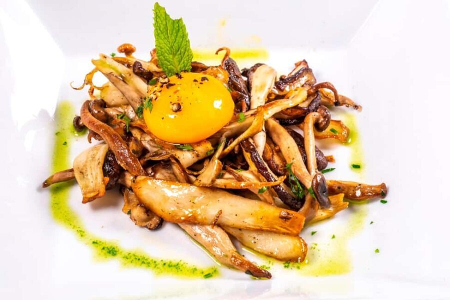 GASTRONOMIC MUSHROOM EXPERIENCE. Tour not included - What You Can Expect: The Details