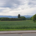 Geneva Countryside, Wine Tasting, Aperitif, Castle By E-bike - Practicalities of the Tour