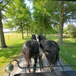 Gettysburg: Horse-Drawn Carriage Tour Countryside & Orchards - What Makes This Tour Special?