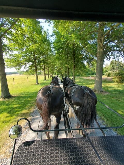 Gettysburg: Horse-Drawn Carriage Tour Countryside & Orchards - What Makes This Tour Special?