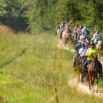 Gettysburg: Licensed Guided Battlefield Horseback Tour - The Practicalities: Price, Duration, and Booking