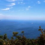Gibraltar Shore Excursion: The Original Rock & Caves Tour - Analyzing the Experience