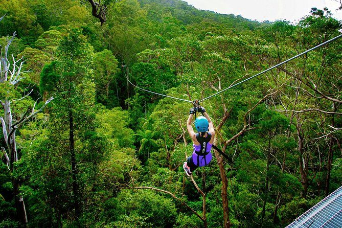 Gold Coast Canyon Flyer Zipline Tour - Authentic Reviews and Real Experiences