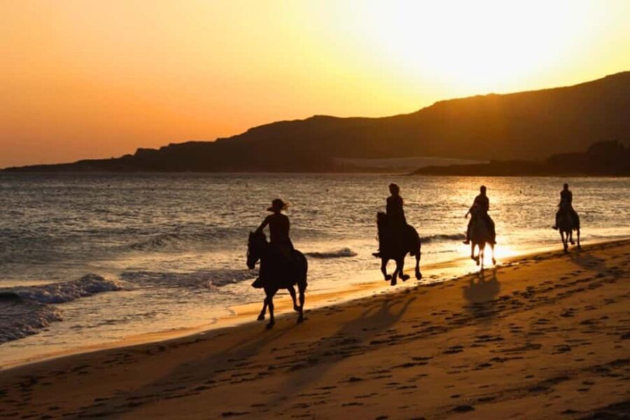 Golden Beach Sunrise: Horse Riding - Authentic Experiences and Traveler Perspectives