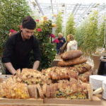 Golden Circle with Tomato Farm and Secret Lagoon(Optional) - Unique Dining at Friðheimar Tomato Farm