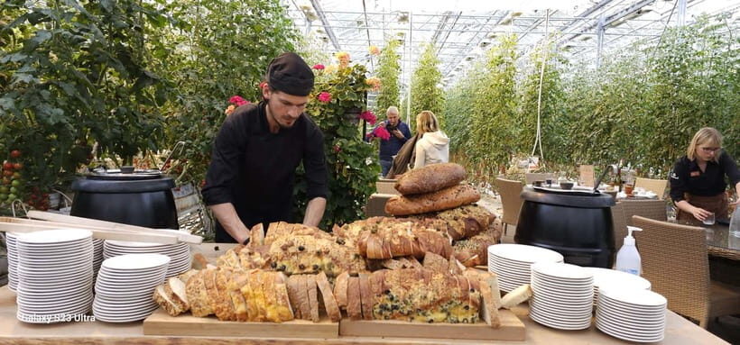 Golden Circle with Tomato Farm and Secret Lagoon(Optional) - Unique Dining at Friðheimar Tomato Farm