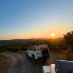 Golden Hour Safari in the Algarve - The Experience You’ll Take Home