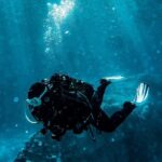 Golem/Durres: Ionian Sea Scuba Diving Experience - What Travelers Say