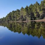 Golem/Durrës: Karavasta Lagoon Tour - What Travelers Say