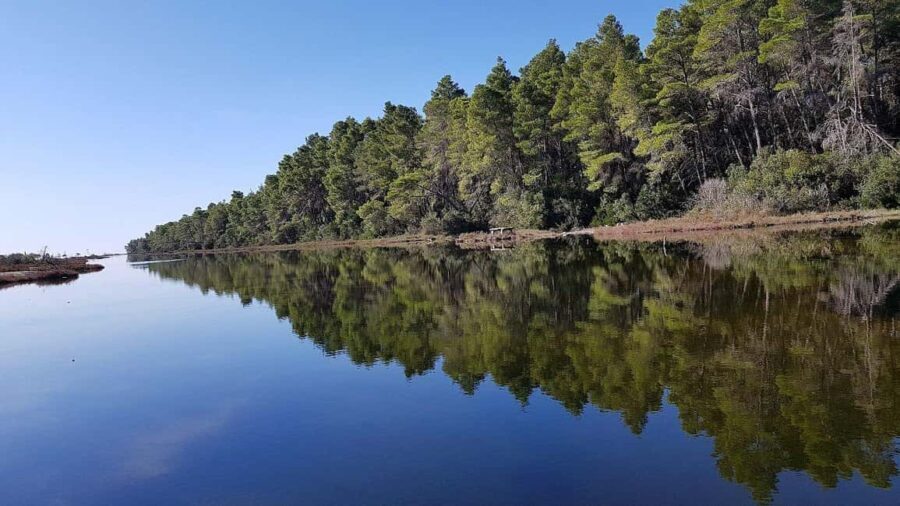 Golem/Durrës: Karavasta Lagoon Tour - What Travelers Say