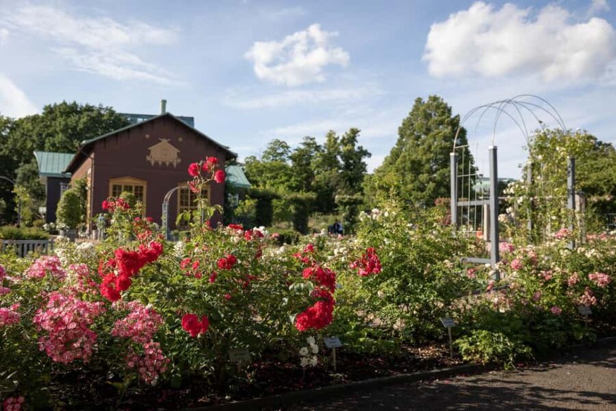 Gothenburg: Guided Walking Tour of the Main Landmarks - A Deeper Look into Gothenburg’s Main Landmarks