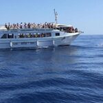 Gran Canaria: Dolphin and Whale Watching Cruise - Practical Details