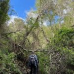 Gran Canaria: excursion to the Barranco de los Cernícalos - What the Hike Entails