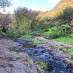 Gran Canaria: excursion to the Barranco de los Cernícalos - What to Expect from the Day