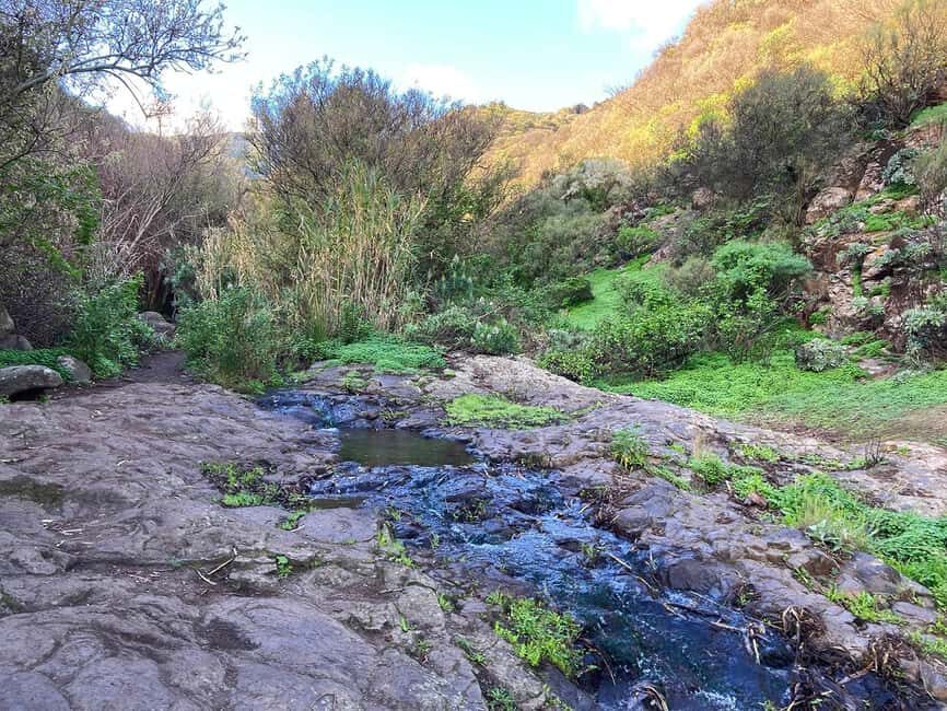 Gran Canaria: excursion to the Barranco de los Cernícalos - What to Expect from the Day