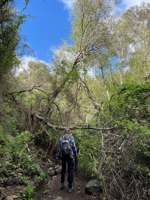 Gran Canaria: excursion to the Barranco de los Cernícalos - What the Hike Entails