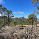 Gran Canaria: excursion to the Ventana del Nublo - What You Need to Know Before You Go
