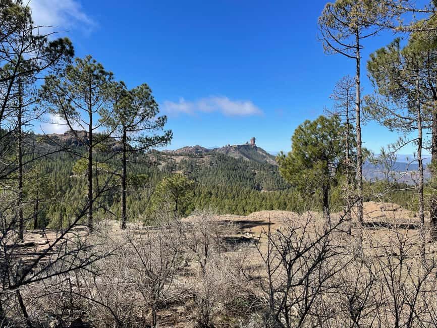 Gran Canaria: excursion to the Ventana del Nublo - What You Need to Know Before You Go