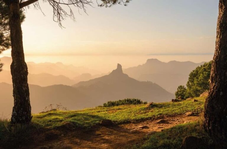 Gran Canaria Gran Tour - What to Expect from Each Stop