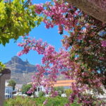 Gran Canaria: Highlights & hidden gems with Sky Rebels - The Experience: What You’ll Love