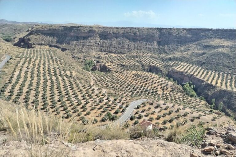 Granada: End of the World Viewpoints 4x4 Tour in the Geopark - Detailed Breakdown of the Itinerary