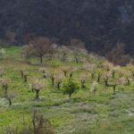 Granada: Guided Hiking Tour - What to Expect on the Granada Guided Hiking Tour