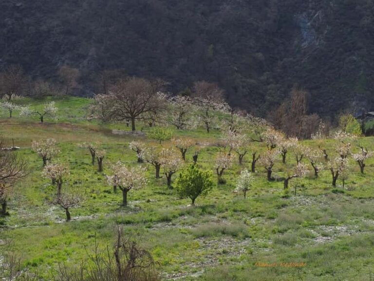 Granada: Guided Hiking Tour - What to Expect on the Granada Guided Hiking Tour