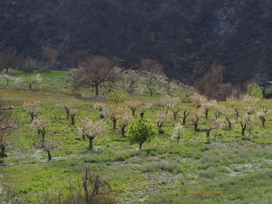 Granada: Guided Hiking Tour - What to Expect on the Granada Guided Hiking Tour