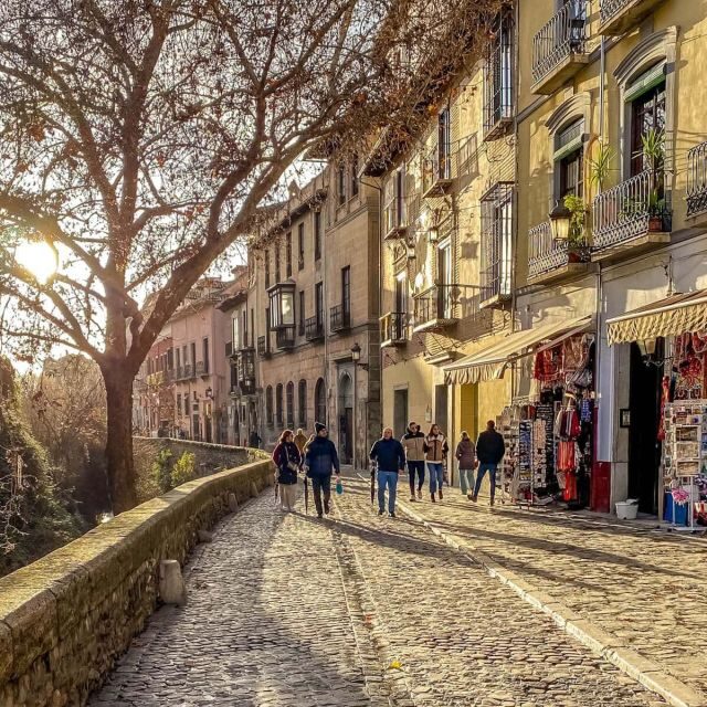 Granada in full: Historic Centre, Albaicín & Sacromonte - The Tour Experience: Logistics, Guides, and Value