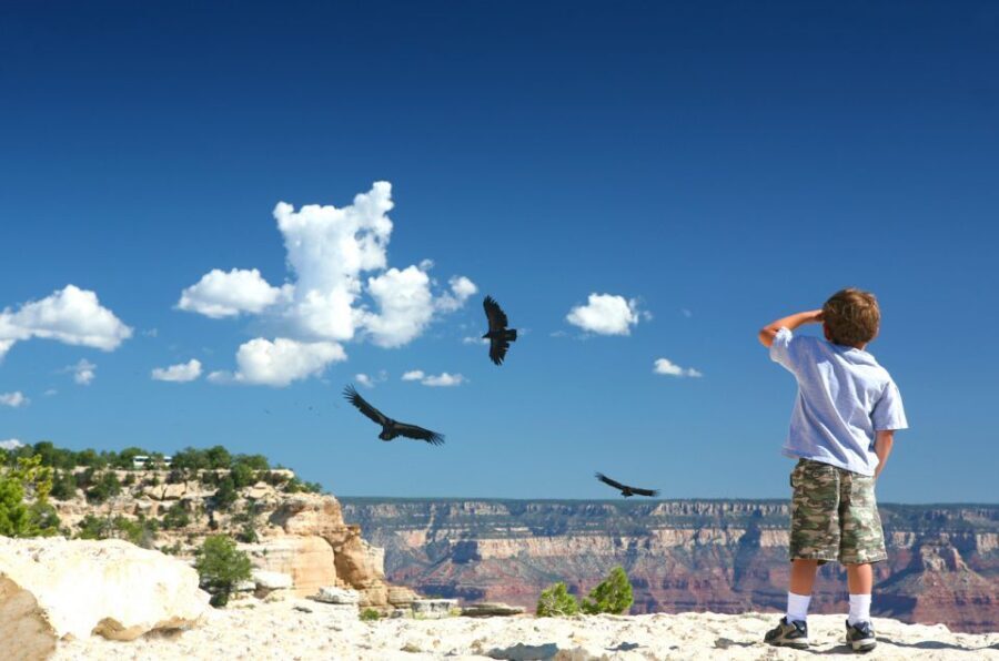 Grand Canyon: Morning Off-Road Safari with Skip the Gate - Value and Practicalities