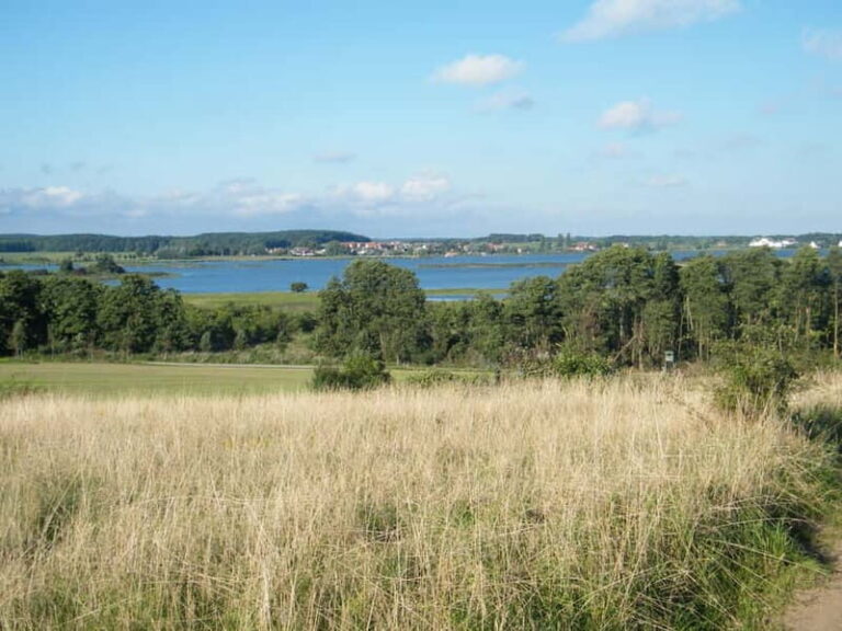 Grand country outing: a natural paradise between land and sea - A detailed look at what the tour entails
