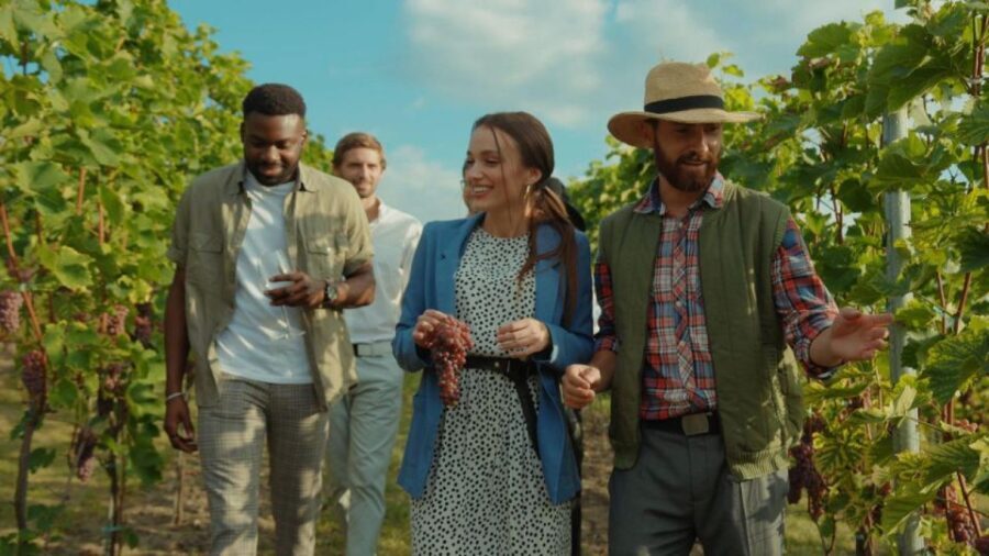 Grape Escapes Full-Day Wine Tour in Ithaca - Authentic Experiences and Traveler Insights