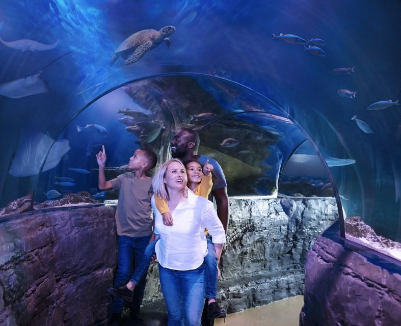 Grapevine: SEA LIFE Grapevine Aquarium General Admission - Exploring the Exhibits in Detail