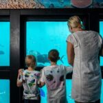 Great Barrier Reef Full Day Adventure - Who Will Love This Tour?