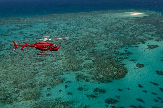 Great Barrier Reef or Rainforest Scenic Flights from Port Douglas - The Itinerary in Detail