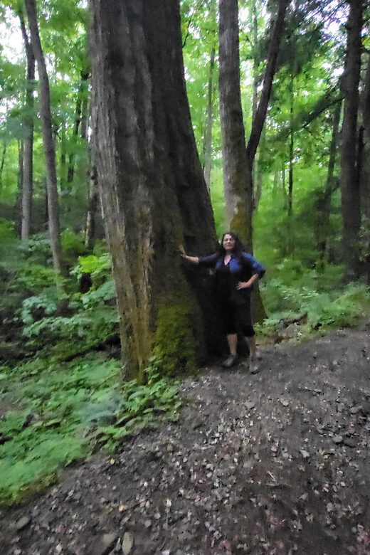 Great Smoky Mountains: Hiking Tours and Waterfall Walks - Exploring the Details of the Tour