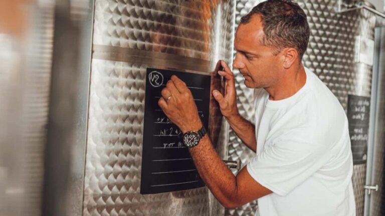 Greve in Chianti: Tour and tasting of organic Chianti Classico and Tuscan snacks - The Value of the Experience