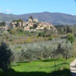 Greve in Chianti: Wine tasting and visit to our small winery - An Authentic Taste of Tuscany in a Cozy Setting