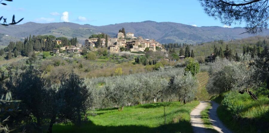 Greve in Chianti: Wine tasting and visit to our small winery - An Authentic Taste of Tuscany in a Cozy Setting