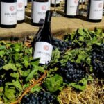 Group Tour: Hayravank, Noratus, Selim, Winery, Jermuk - Who Will Love This Tour?