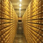 Gruyères, Cheese Factory & Maison Cailler Day Trip from Bern - What You Can Expect on the Day