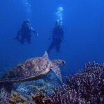 Guam's Best Beach Diving! Beginner and Advanced Dives - The True Value of This Tour