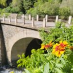 Güejar Sierra: History and gastronomy of Sierra Nevada - The Route and What You’ll See