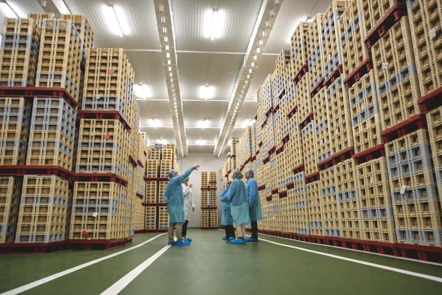 Guide Visit to the old Cheese Factory - The Highlights: Why It’s Worth Your Time