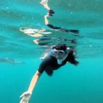 Guided snorkel in Cambrils with explanation of the marine environment. - A Detailed Look at the Cambrils Snorkel Tour