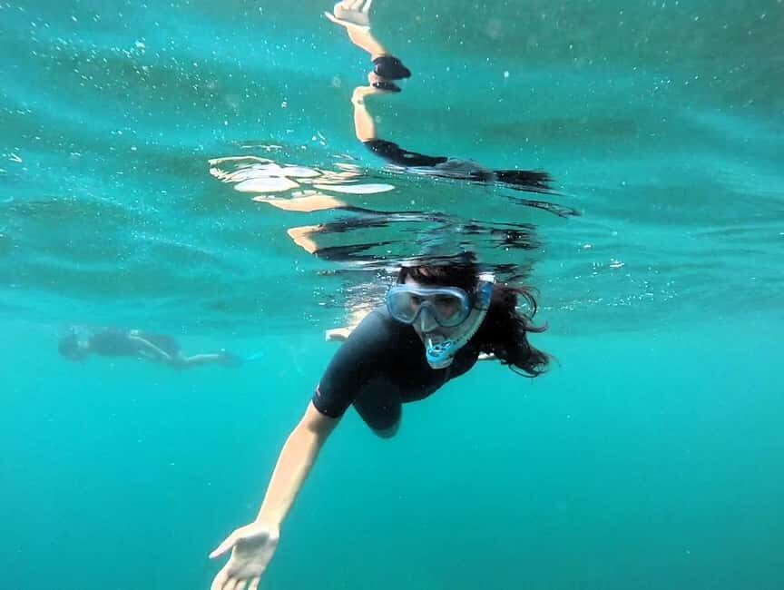Guided snorkel in Cambrils with explanation of the marine environment. - A Detailed Look at the Cambrils Snorkel Tour