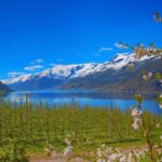 Guided tour: Hardangerfjord, Waterfalls and Ferry crossing - Authentic Experiences and Practical Details