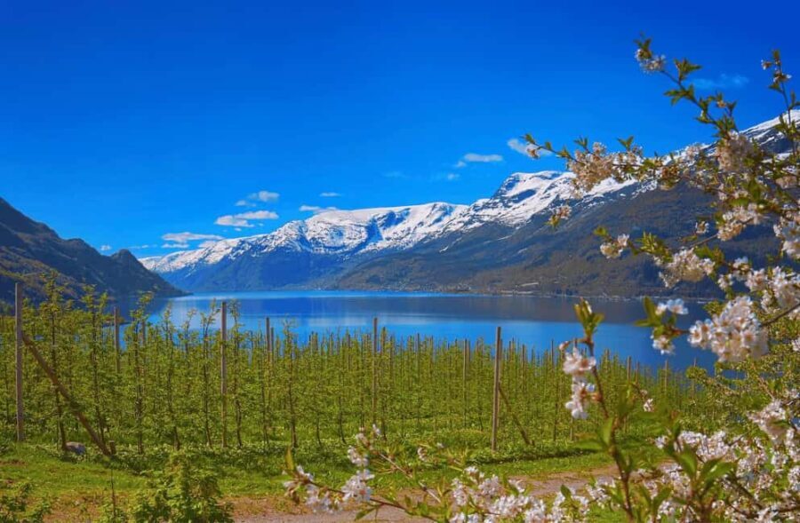 Guided tour: Hardangerfjord, Waterfalls and Ferry crossing - Authentic Experiences and Practical Details